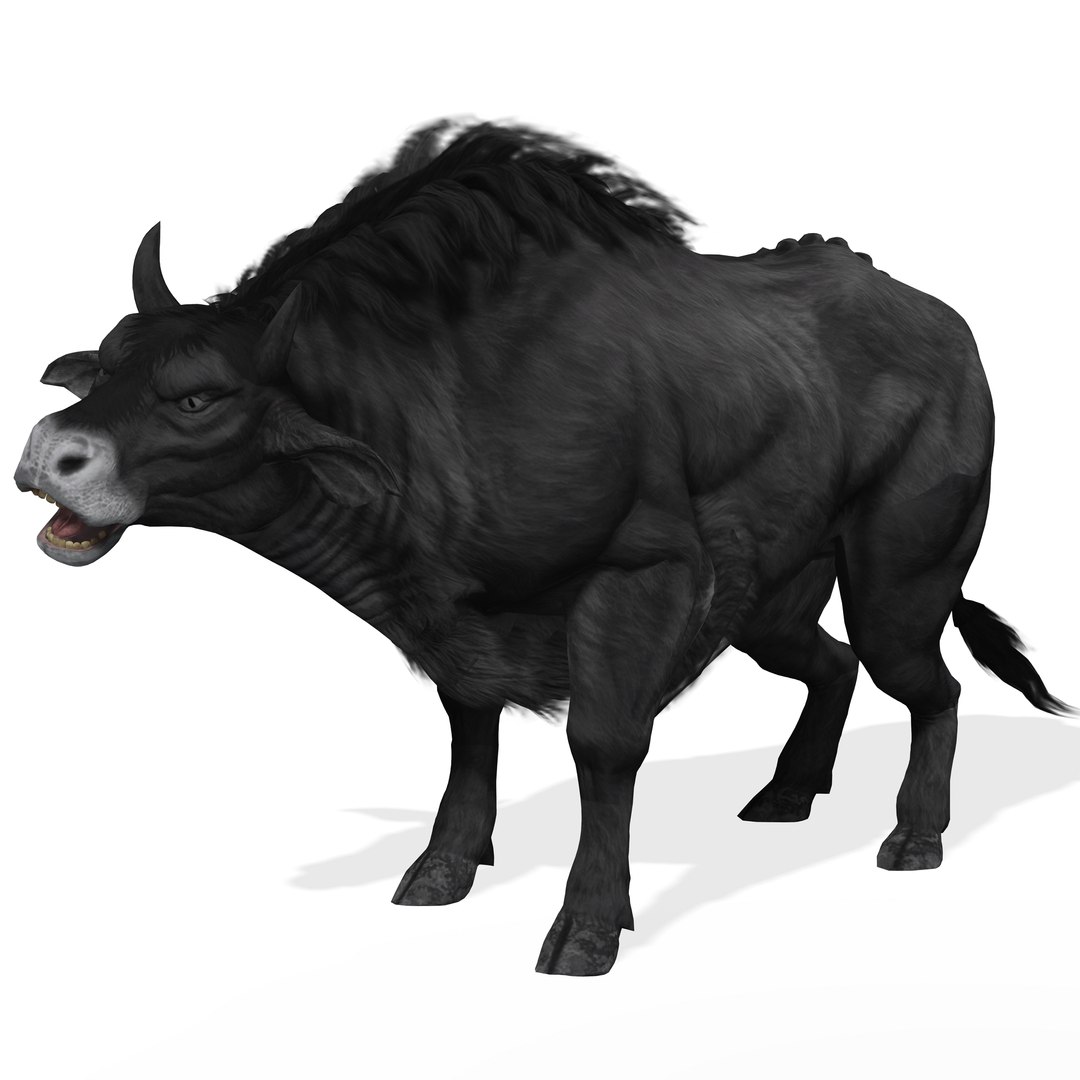 Buffalo 3D model - TurboSquid 2170584