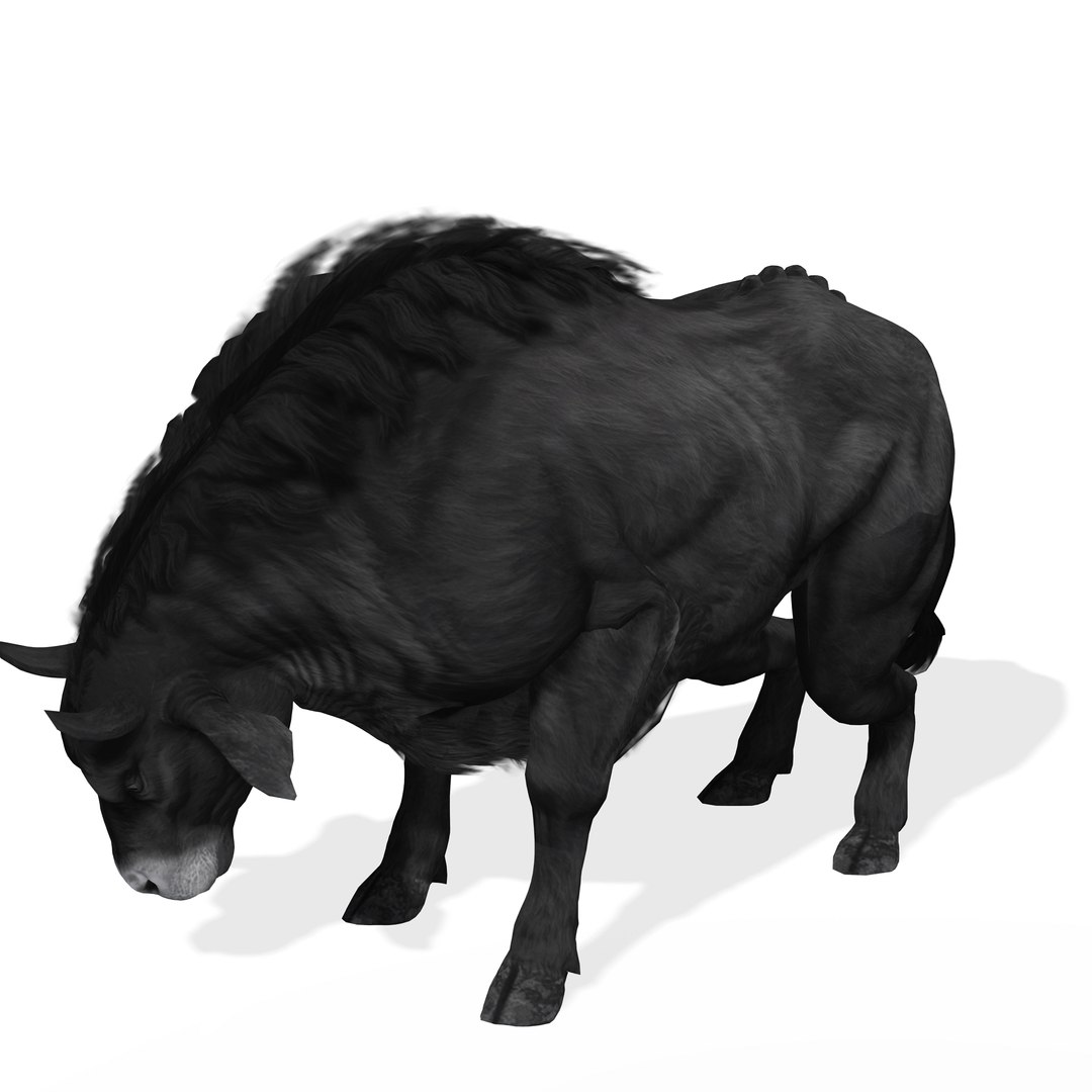 Buffalo 3D model - TurboSquid 2170584