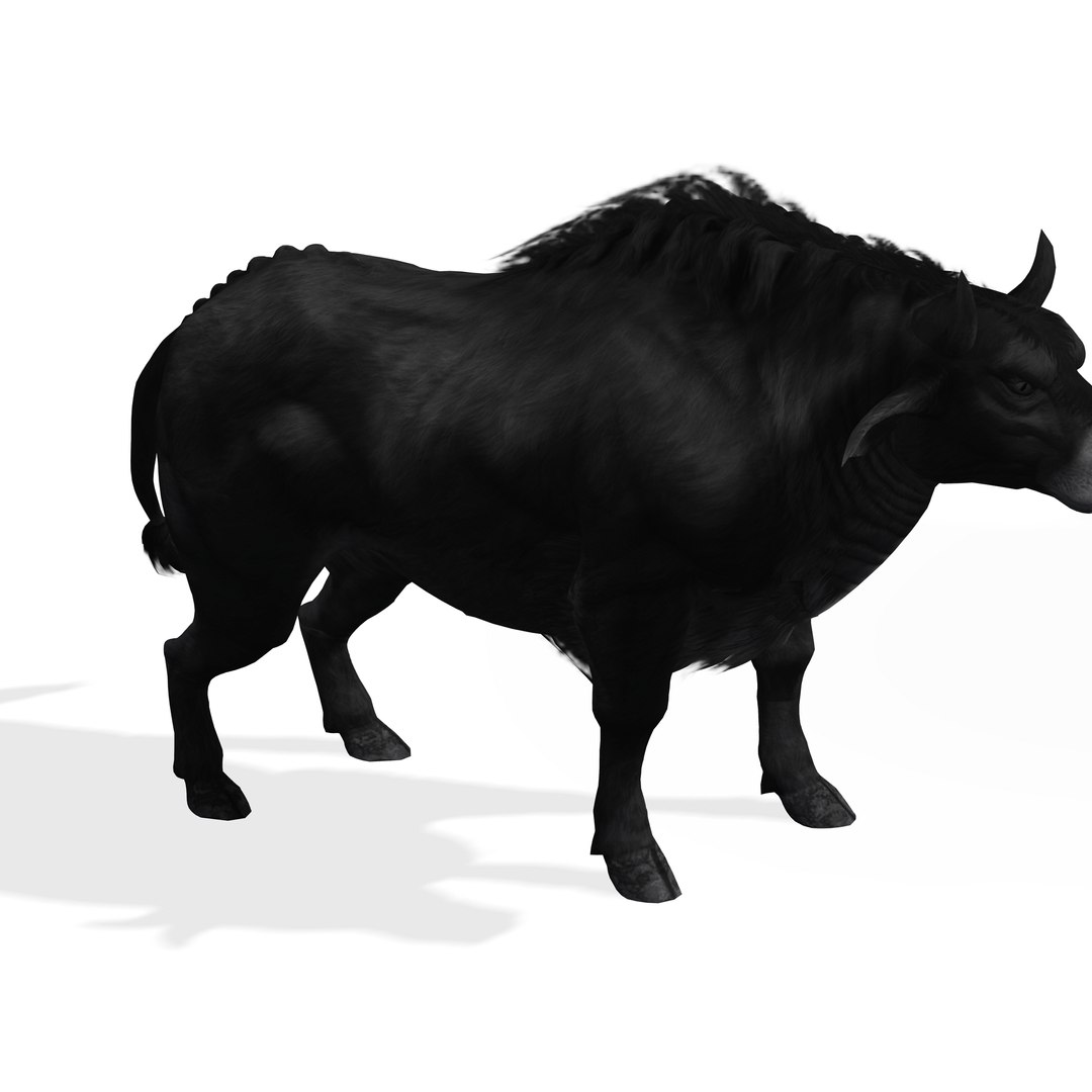 Buffalo 3D model - TurboSquid 2170584