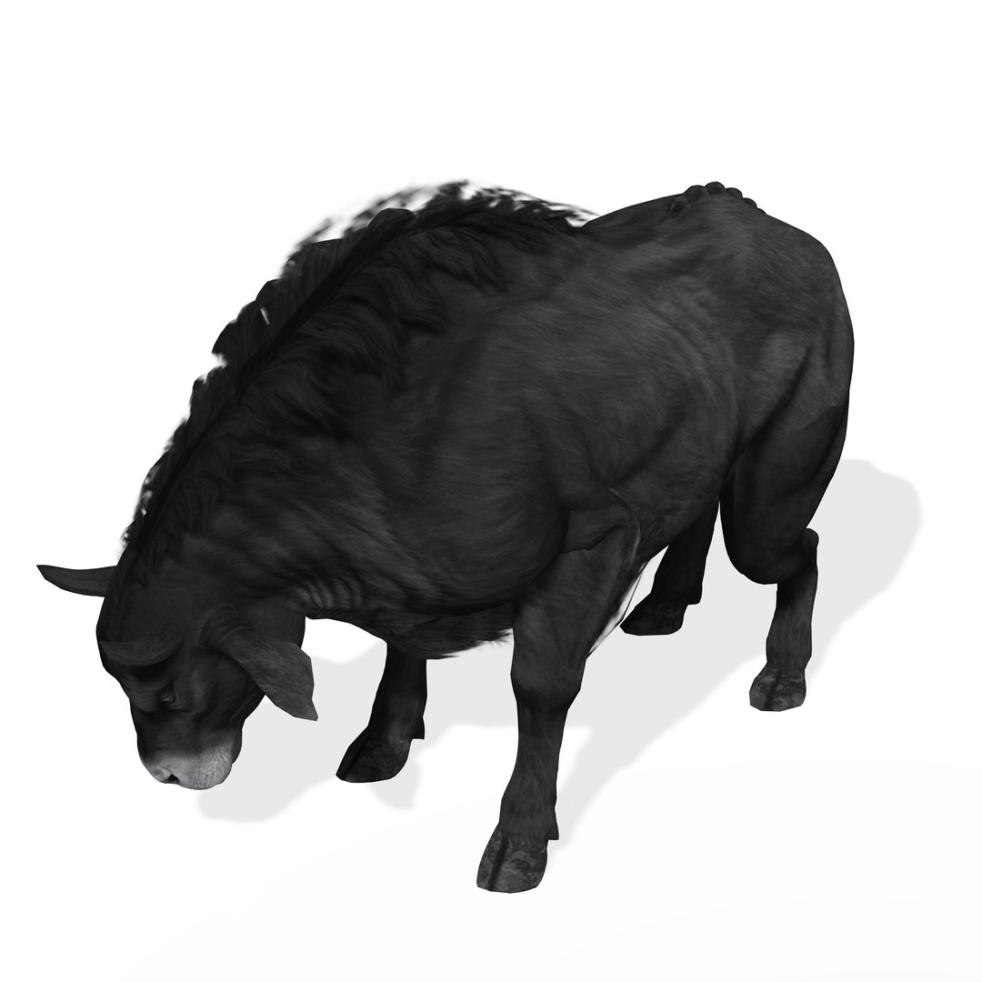 Buffalo 3D model - TurboSquid 2170584