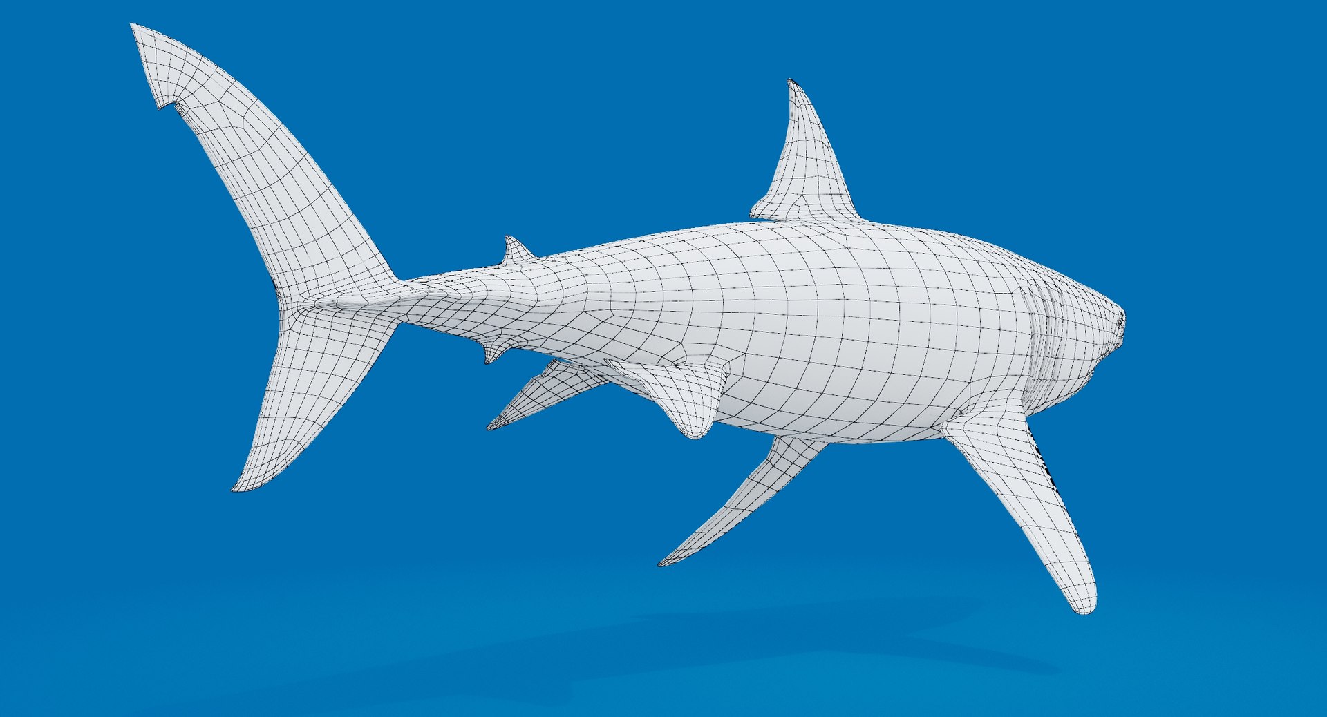 3D White Shark Model - TurboSquid 1518434