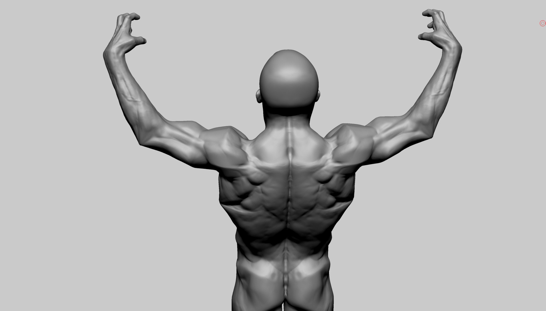 Stylized Male Anatomy 3D Model - TurboSquid 1600476