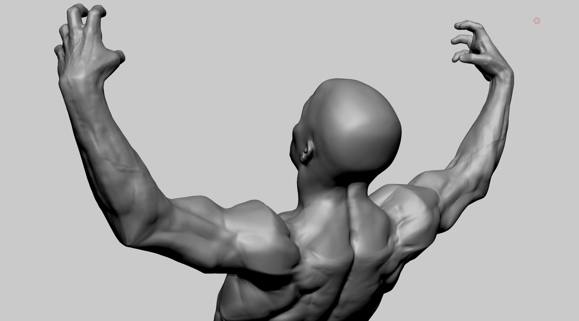 Stylized Male Anatomy 3D Model - TurboSquid 1600476