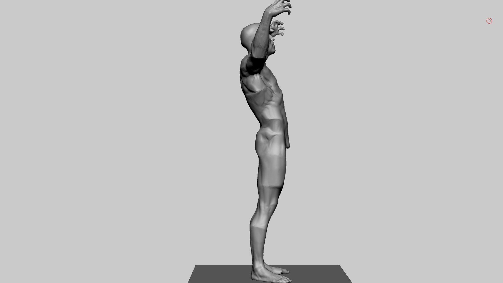 Stylized Male Anatomy 3D Model - TurboSquid 1600476