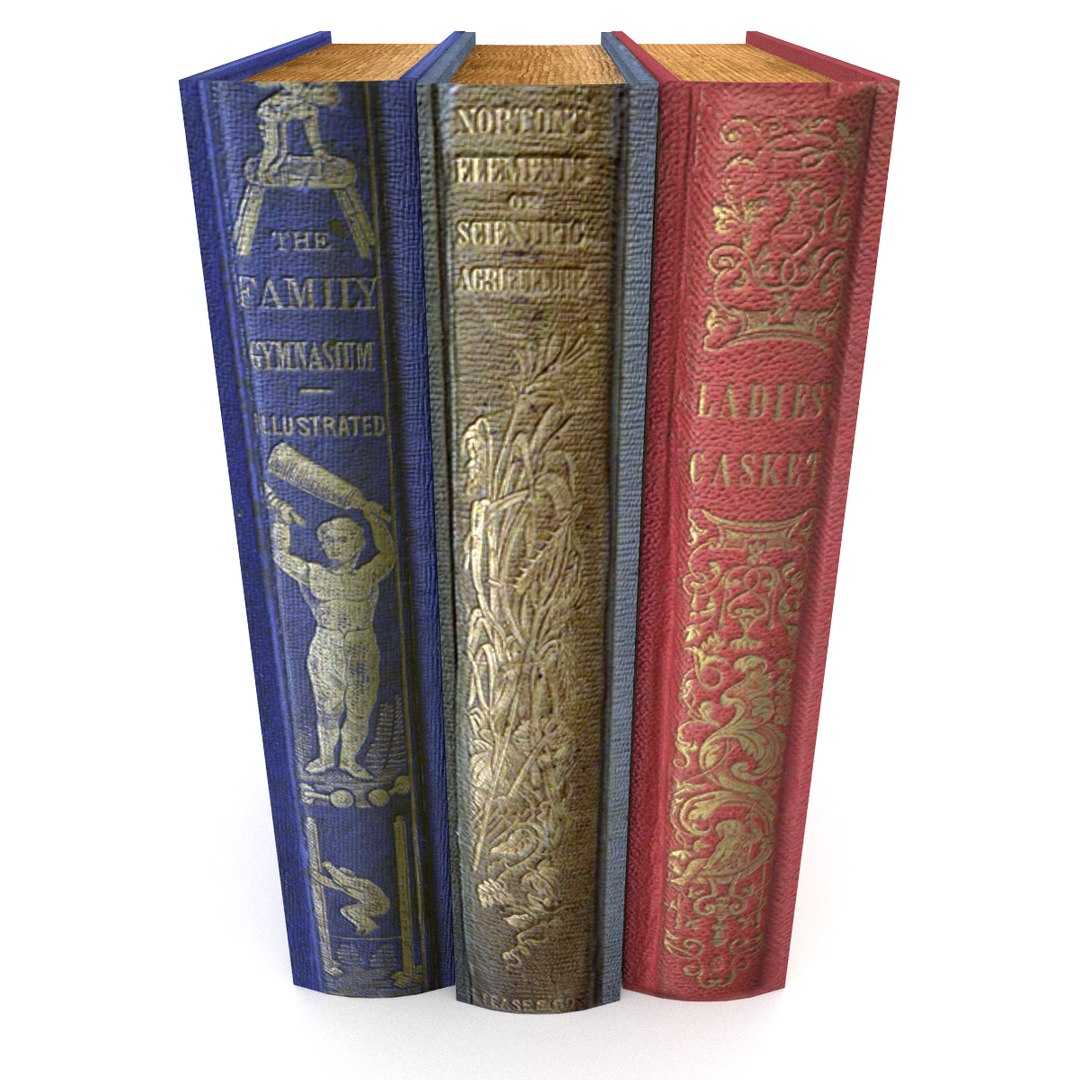 realistic books modeled 3d model