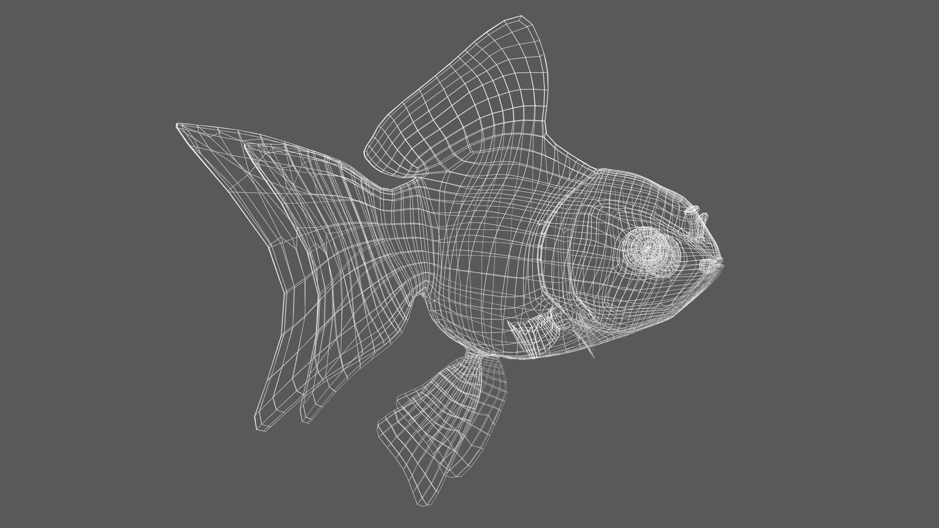 3D Goldfish Collection Animated - TurboSquid 2138387