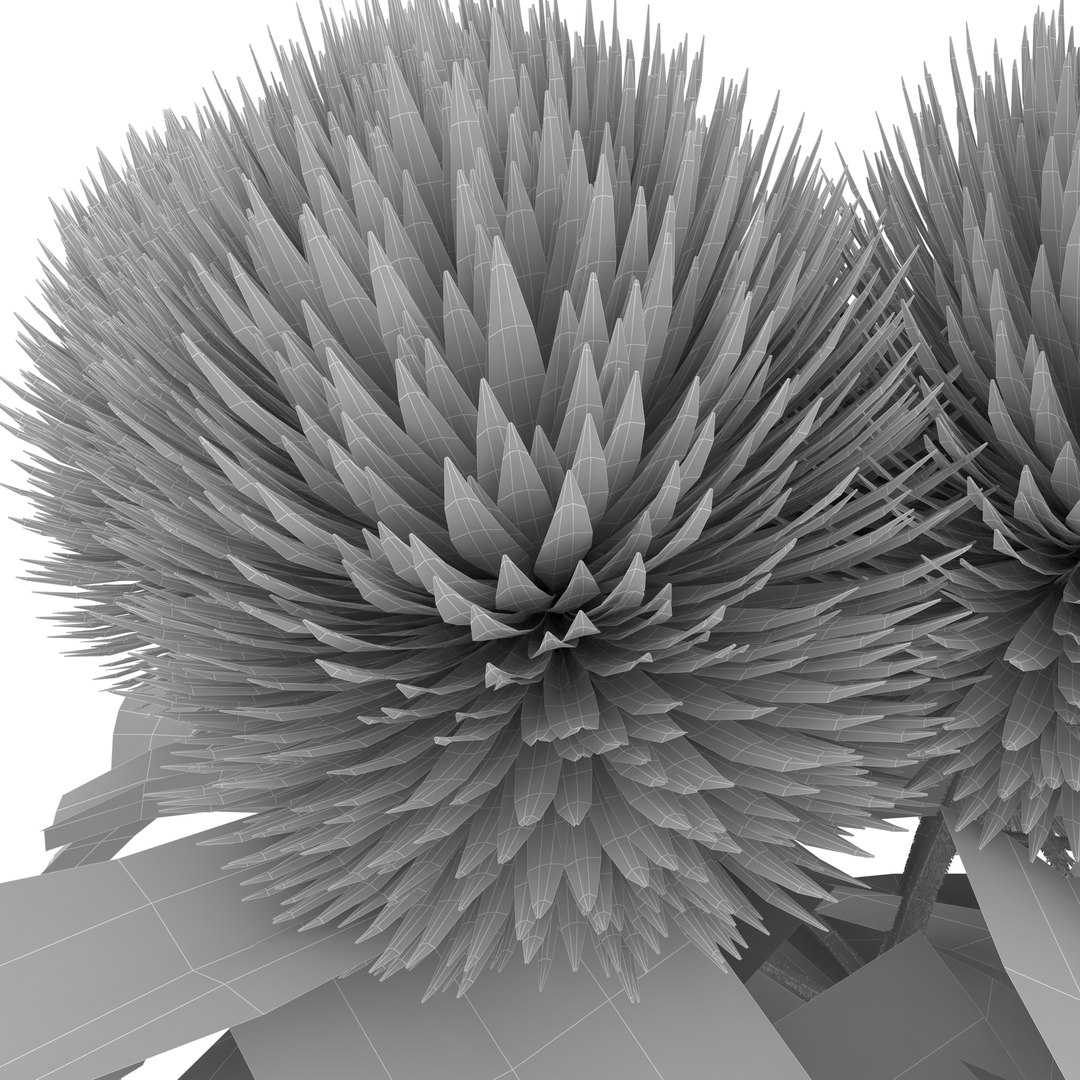 clover flower 3d model