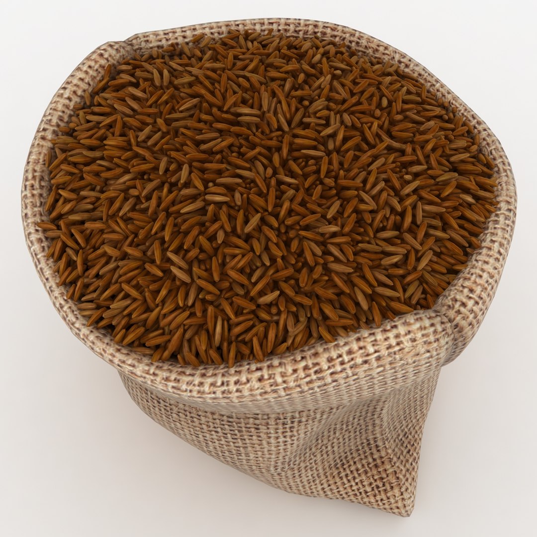 3D model realistic sack brown rice - TurboSquid 1202737