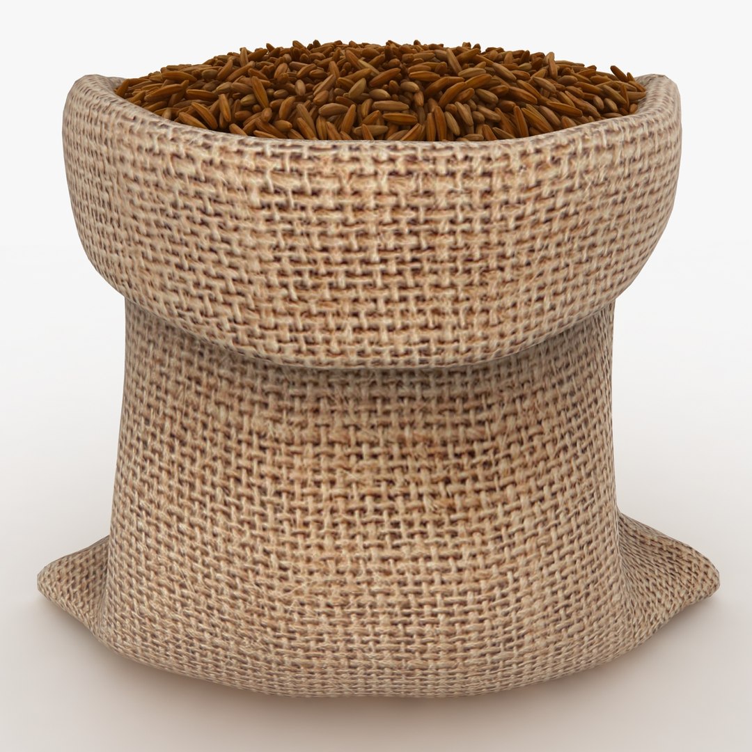 3D model realistic sack brown rice - TurboSquid 1202737