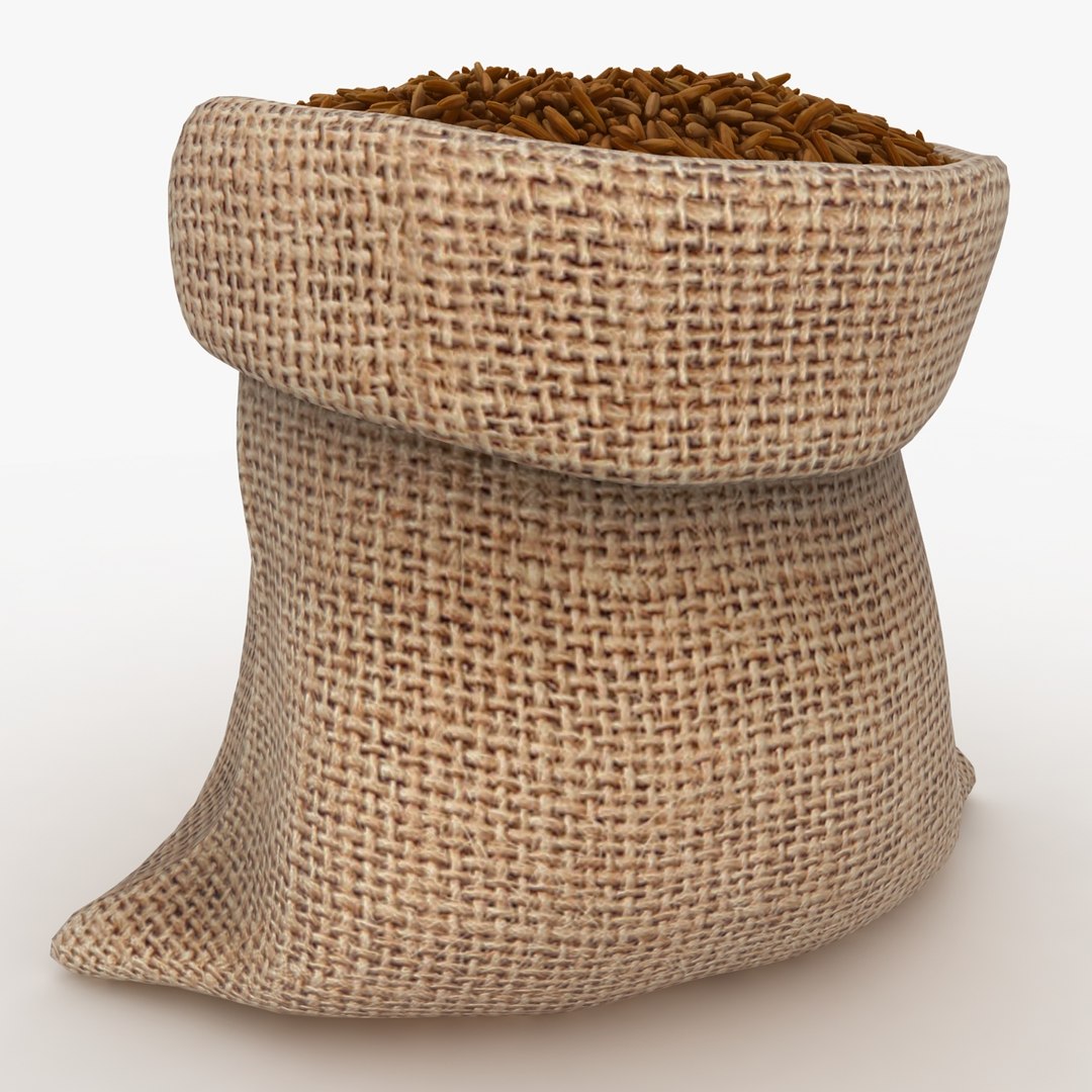 3D model realistic sack brown rice - TurboSquid 1202737