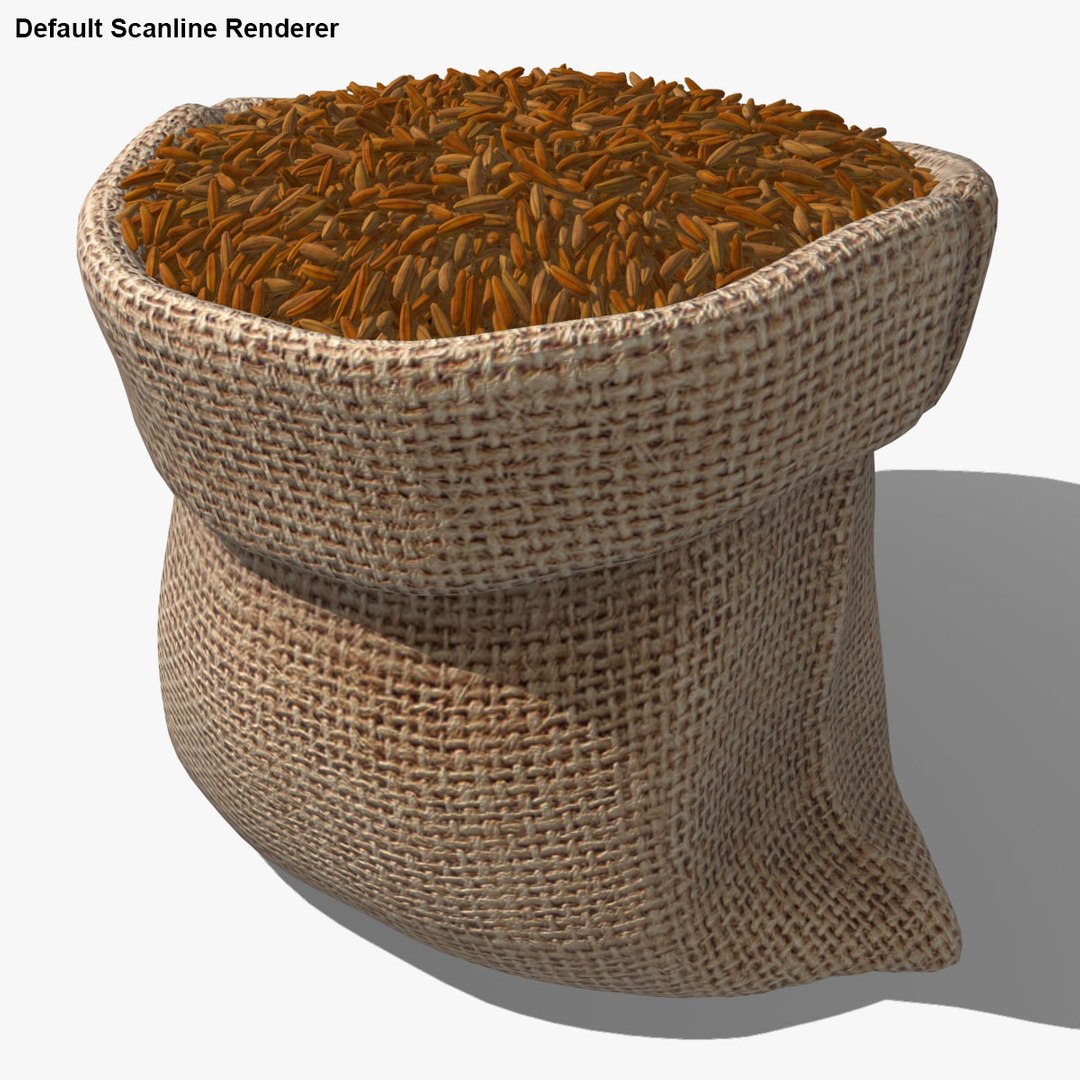 3D model realistic sack brown rice - TurboSquid 1202737