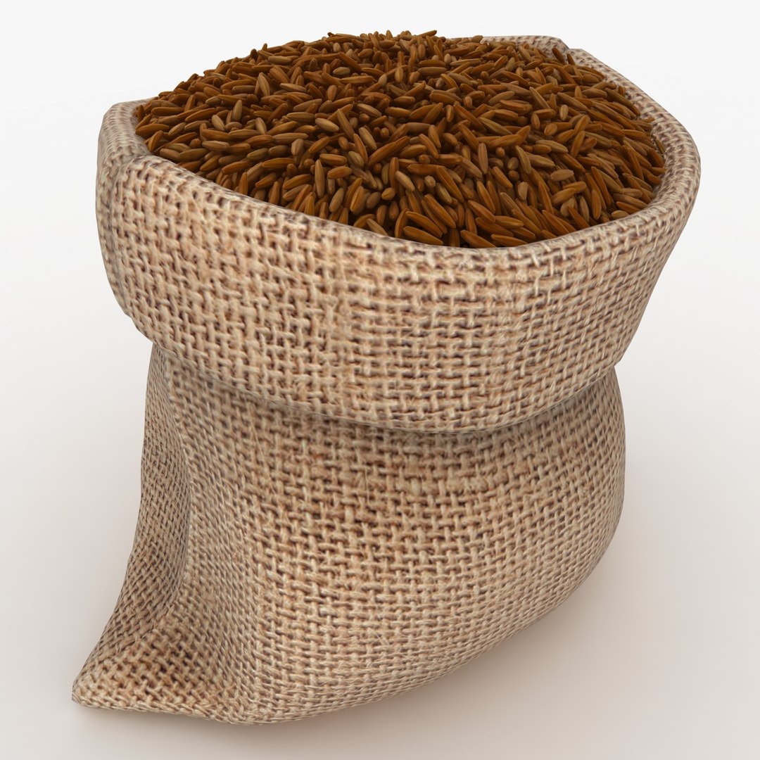 3D model realistic sack brown rice - TurboSquid 1202737