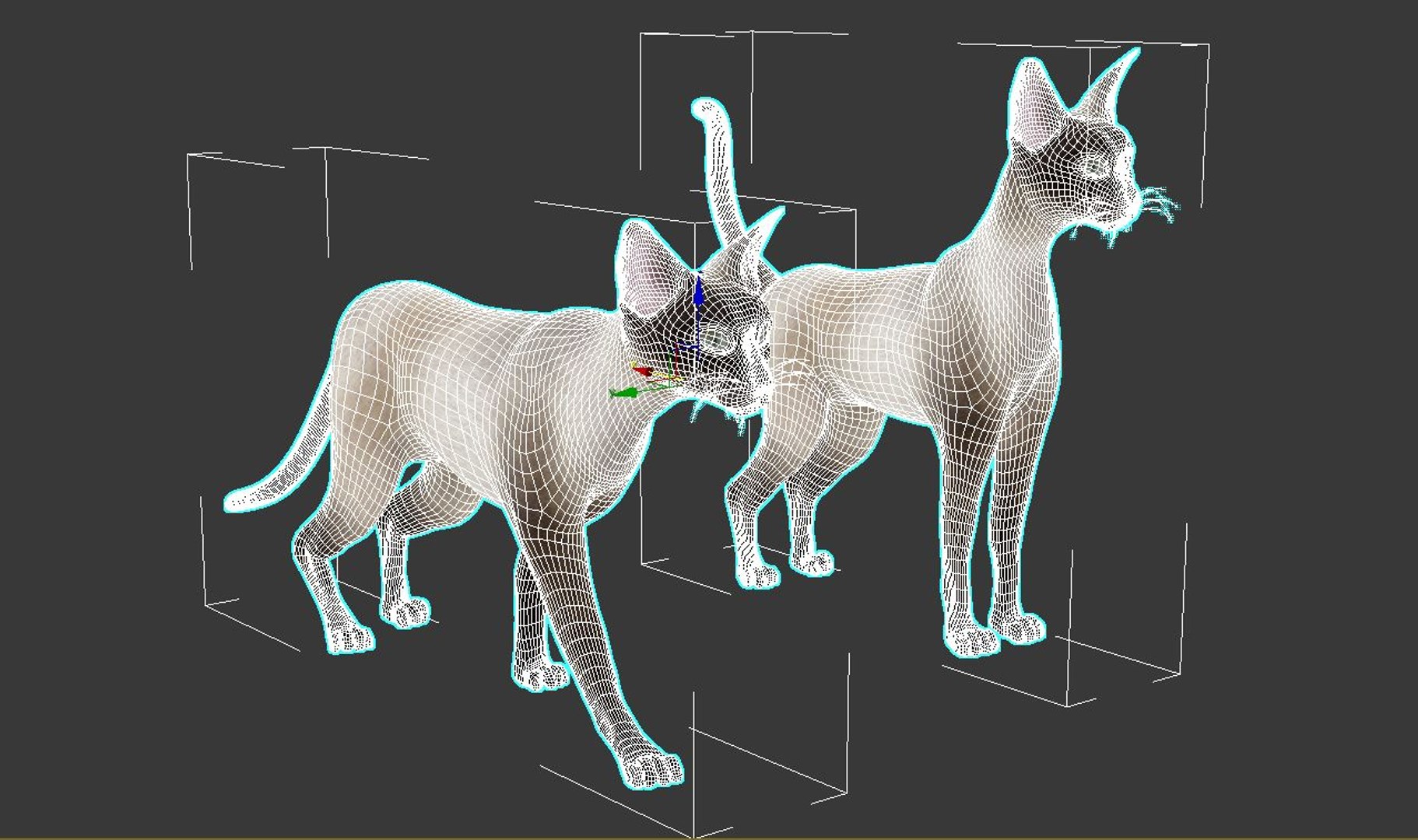 Cat Animal Model - TurboSquid 1673825