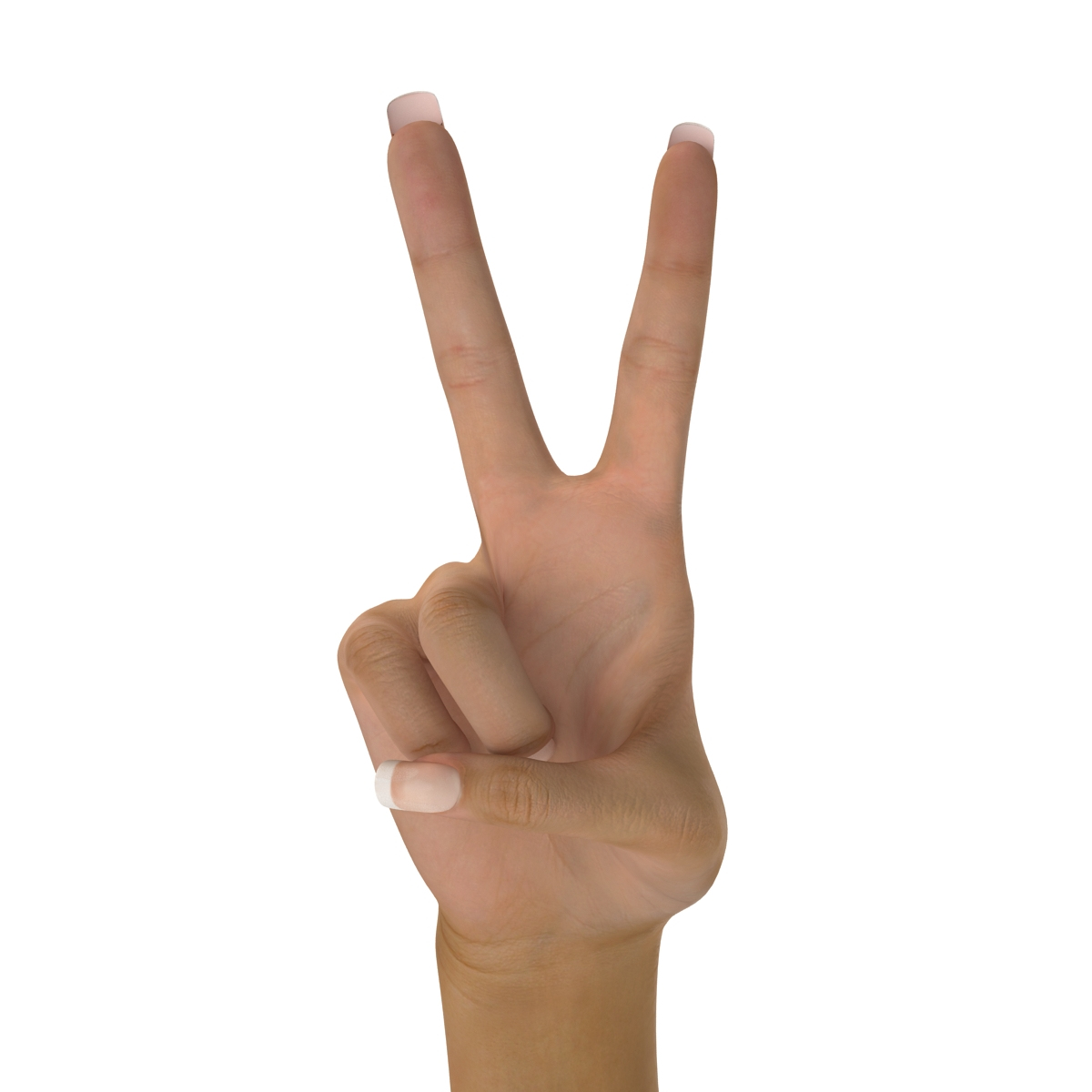 female hand peace gesture 3d ma