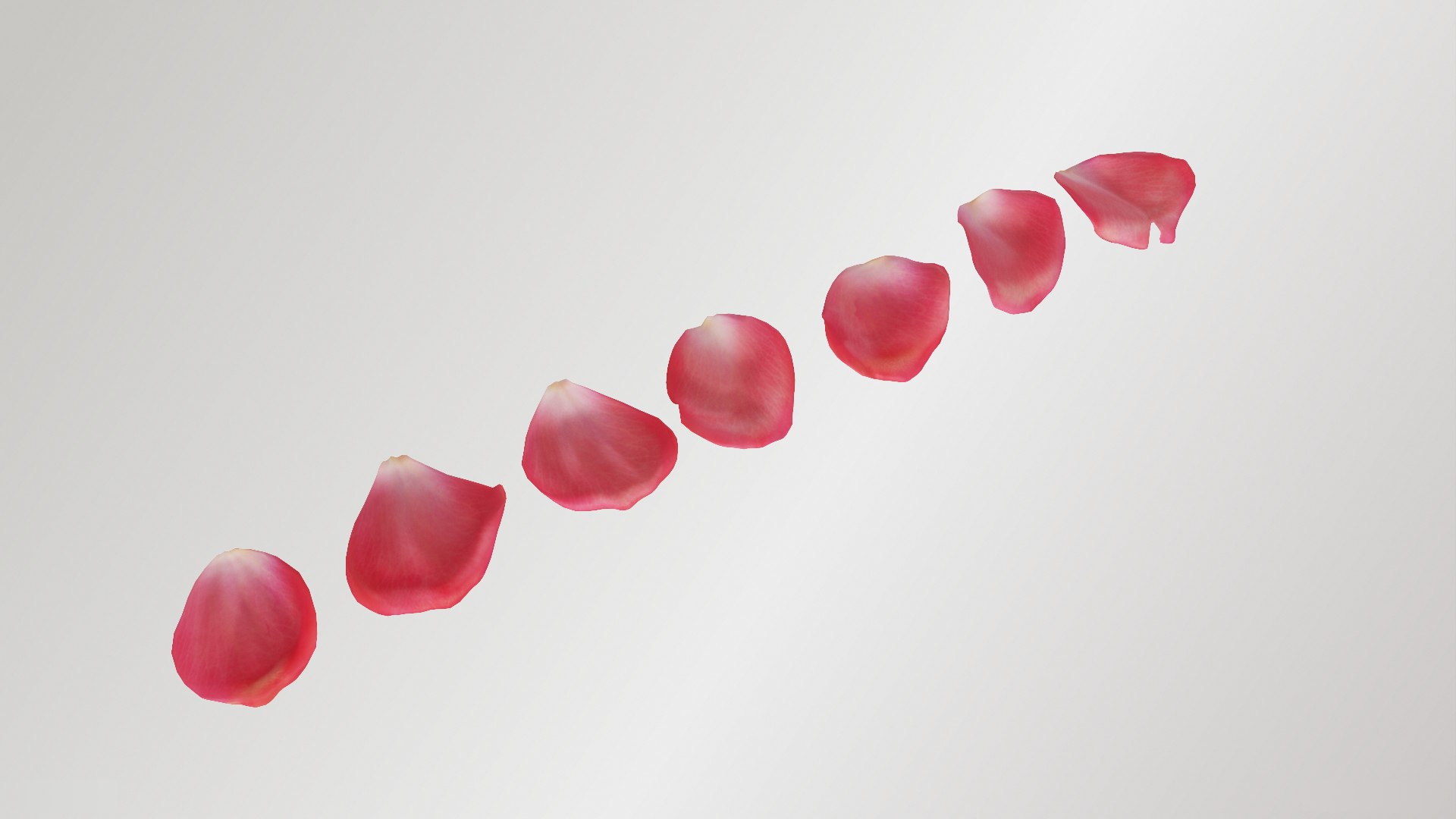 3D Model Pink Rose Petals - TurboSquid 2262726