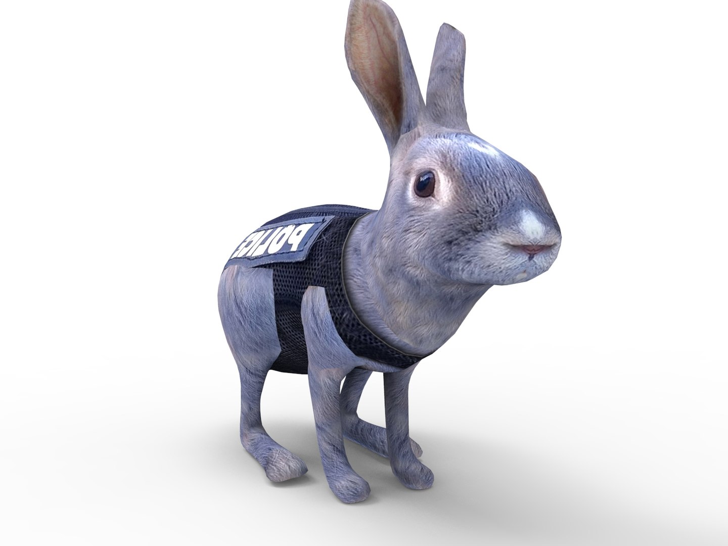 3D Police Rabbit - TurboSquid 1194026