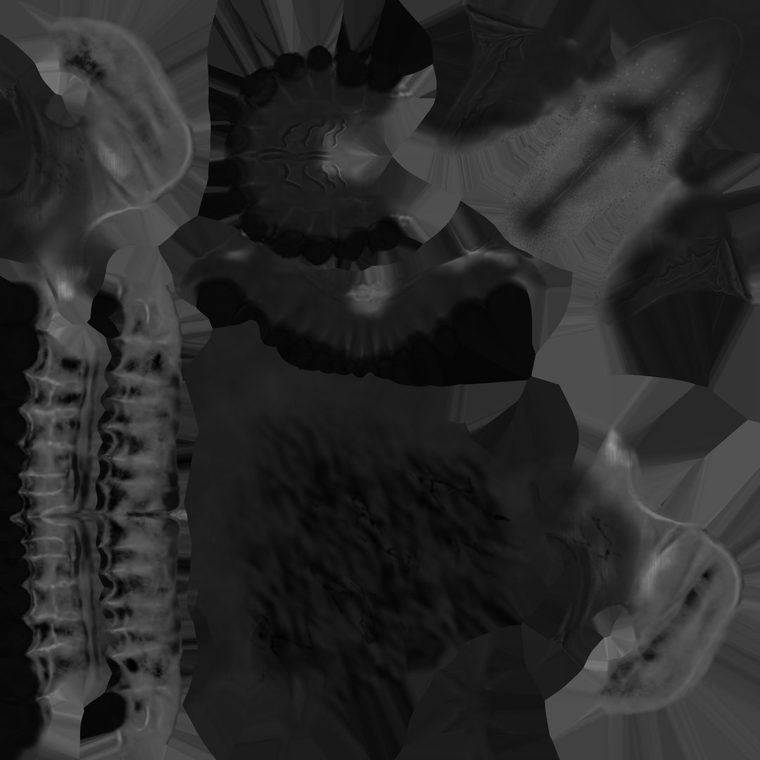 Complete Homan body anatomy 3D model - TurboSquid 2083147