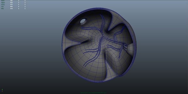 3d alvioli section model