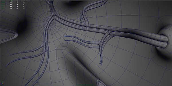 3d alvioli section model