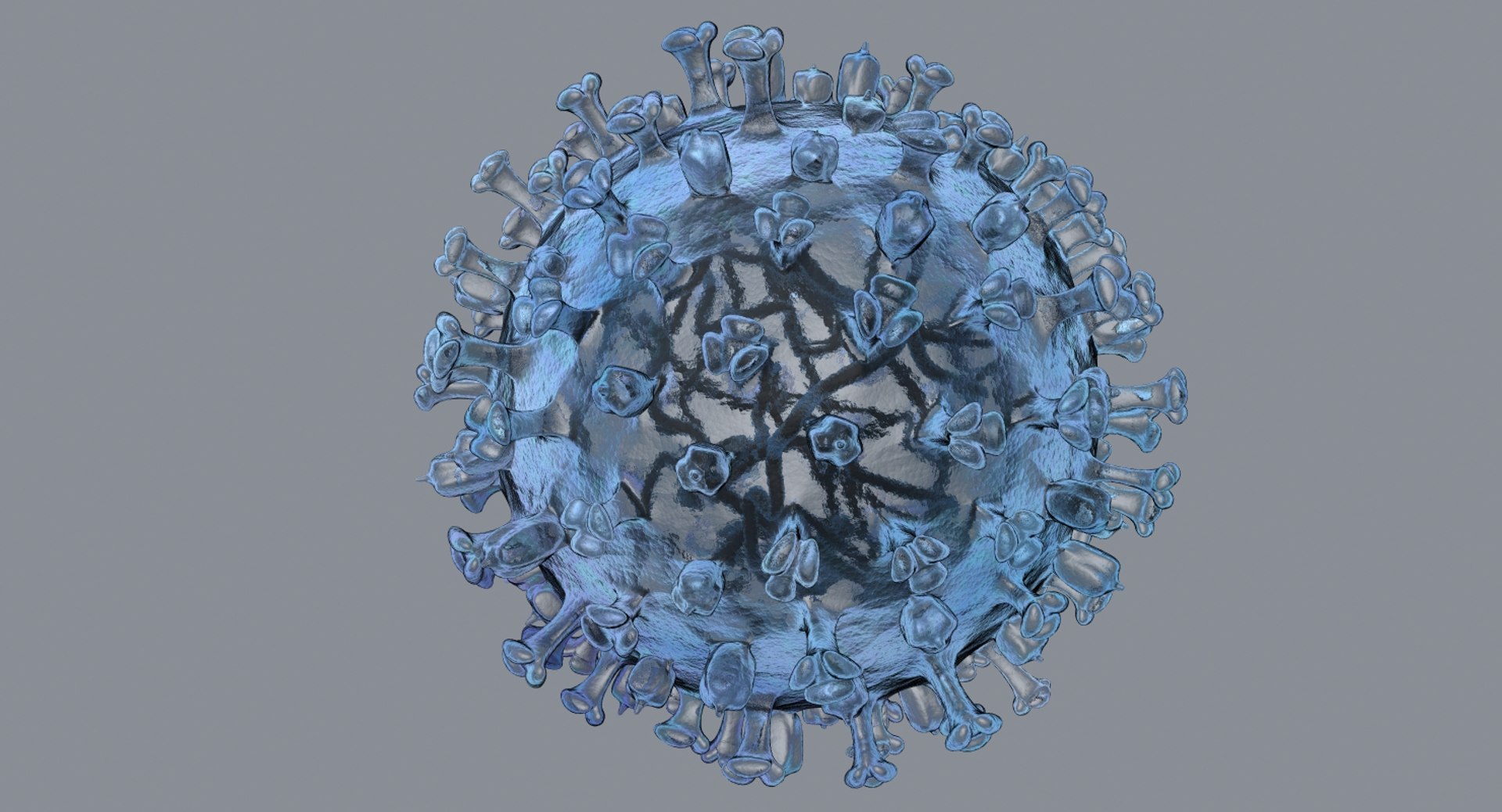 3d Influenza Virus Model