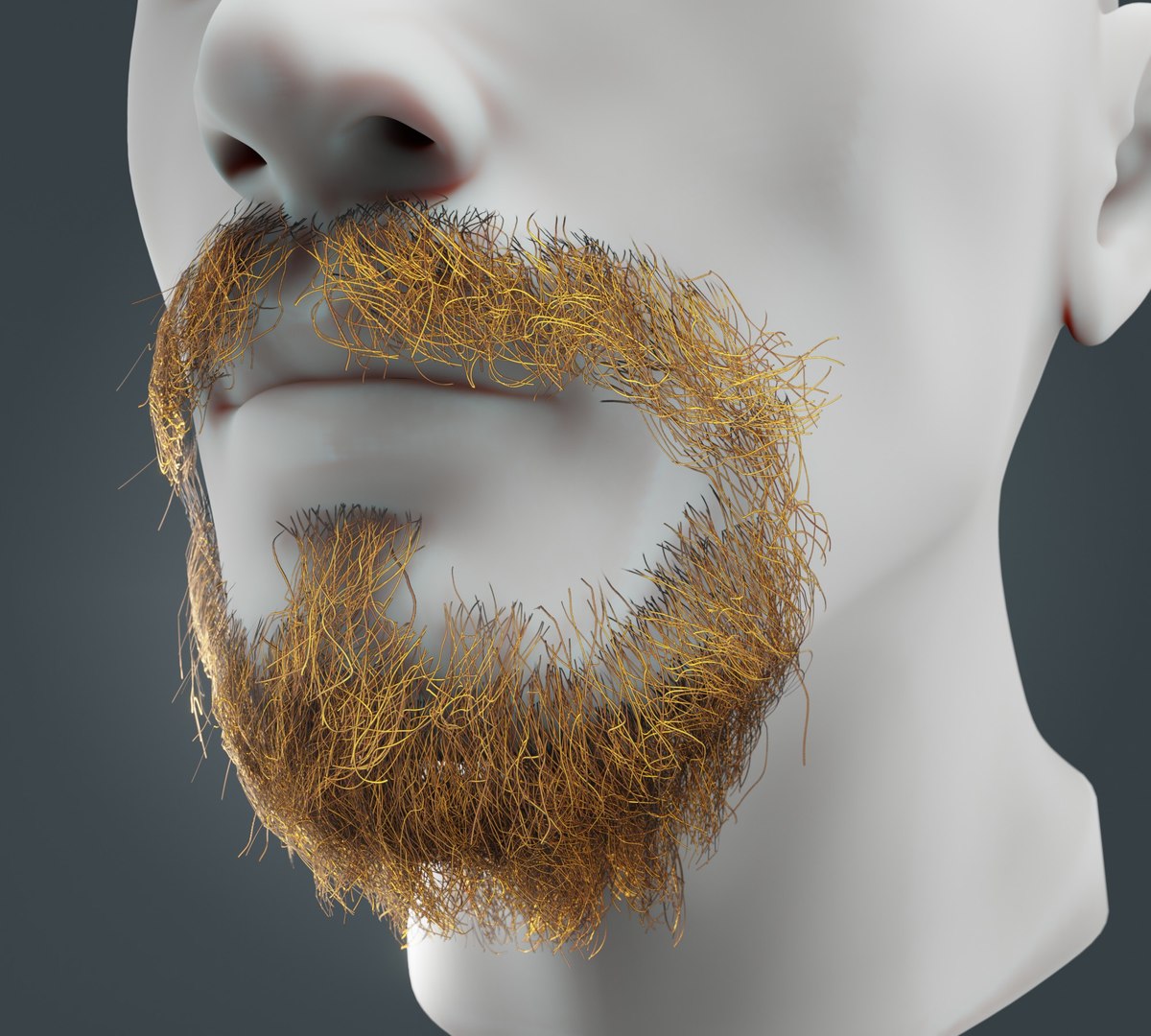 Beard RealTime 10 Version 2 3D Model - TurboSquid 1892359