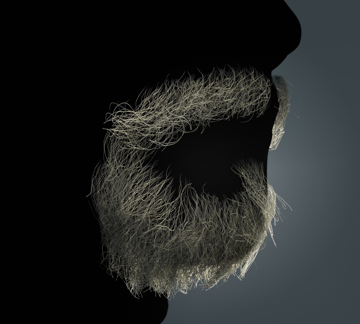 Beard RealTime 10 Version 2 3D Model - TurboSquid 1892359