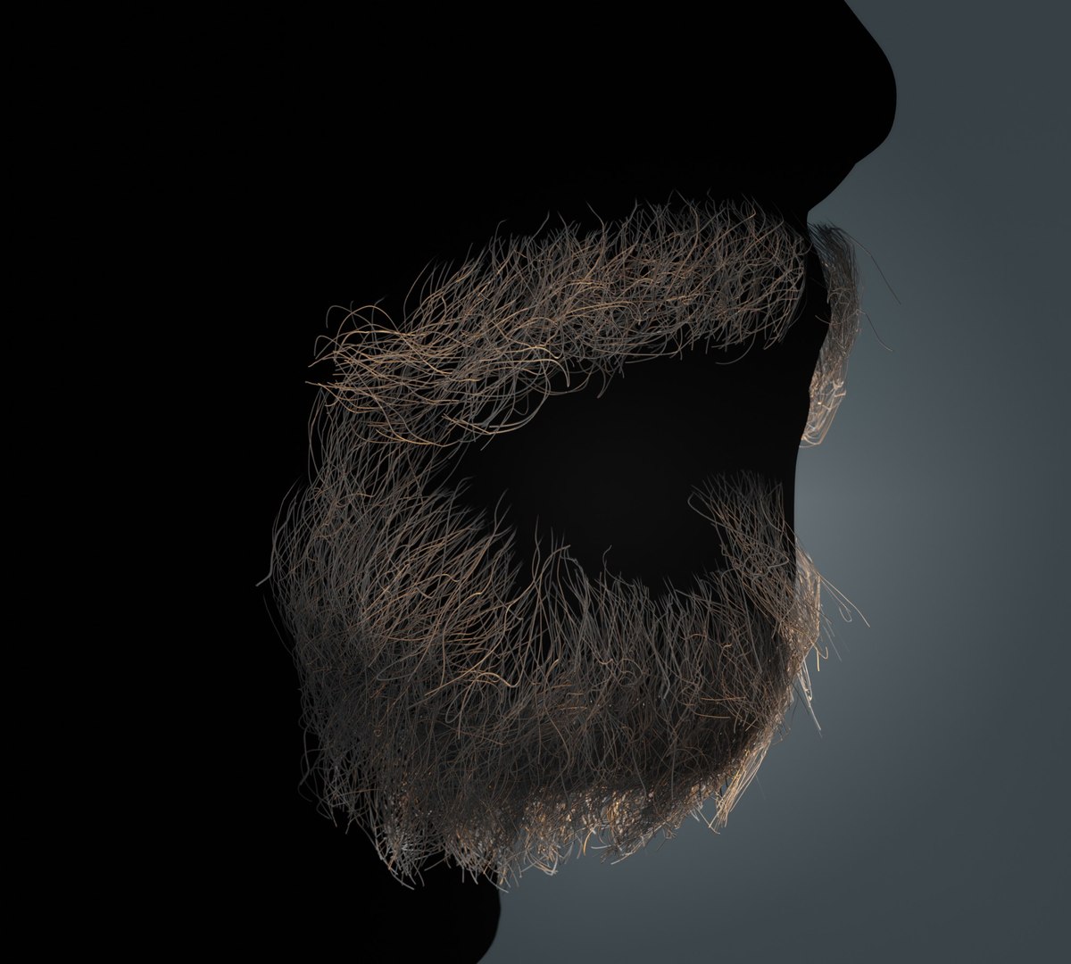 Beard RealTime 10 Version 2 3D Model - TurboSquid 1892359