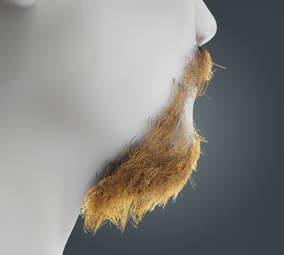 Beard RealTime 10 Version 2 3D Model - TurboSquid 1892359