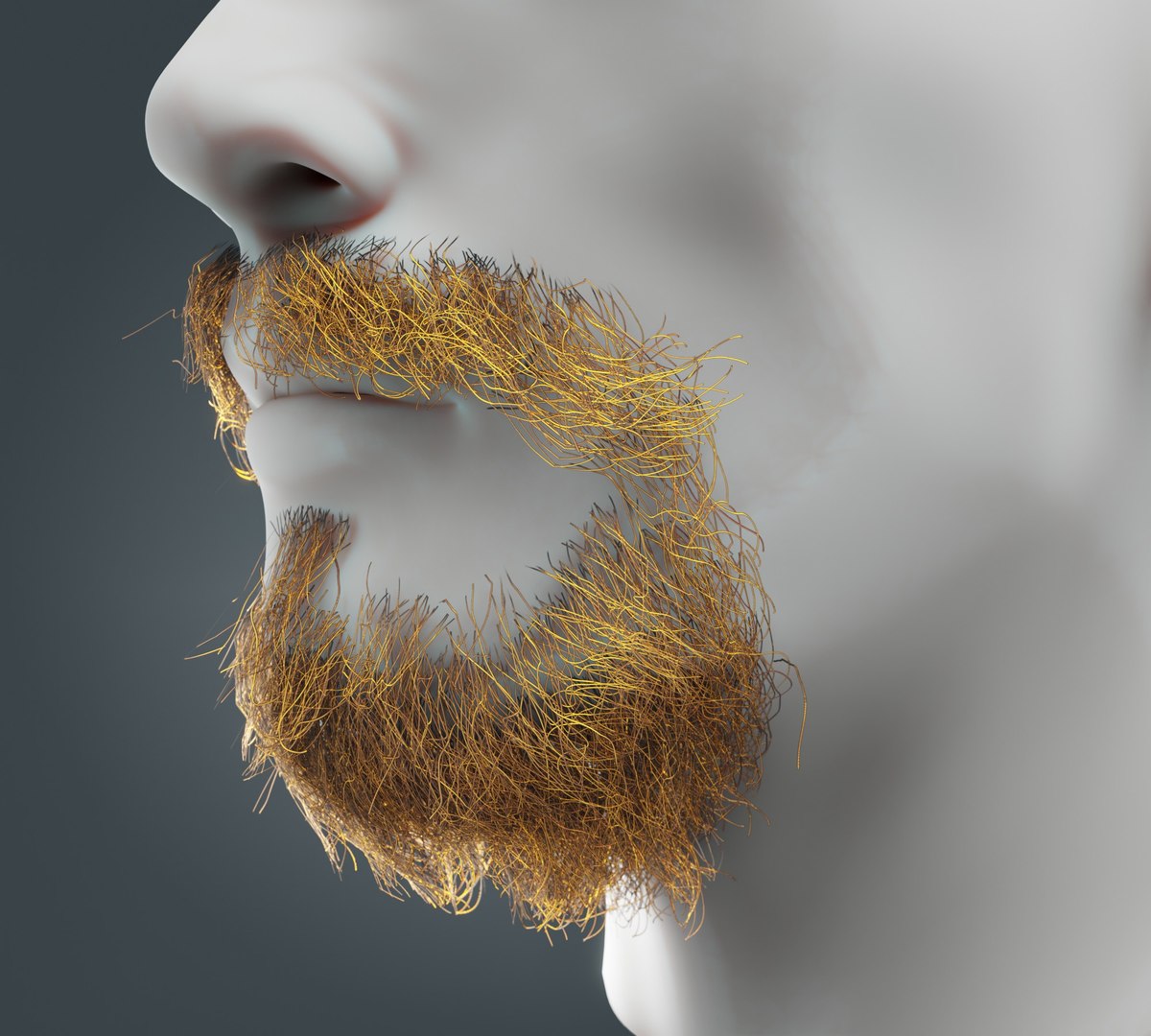 Beard RealTime 10 Version 2 3D Model - TurboSquid 1892359