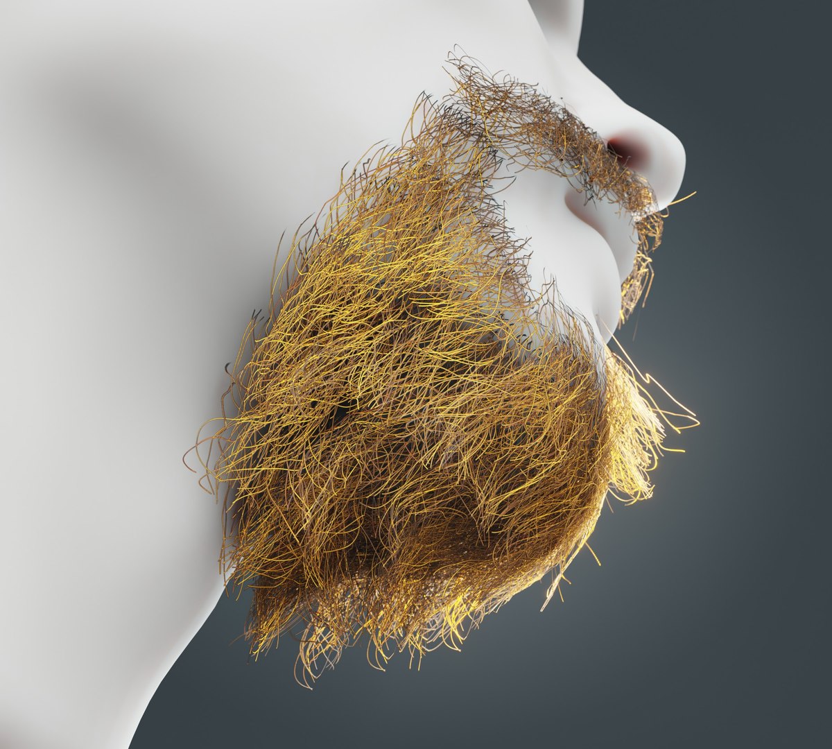 Beard RealTime 10 Version 2 3D Model - TurboSquid 1892359