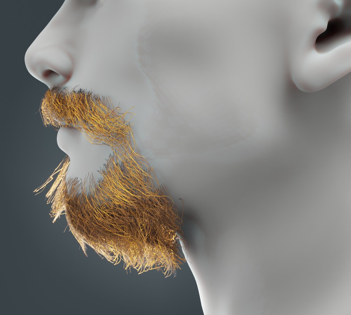 Beard RealTime 10 Version 2 3D Model - TurboSquid 1892359