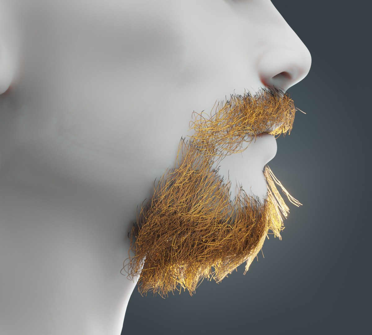 Beard RealTime 10 Version 2 3D Model - TurboSquid 1892359