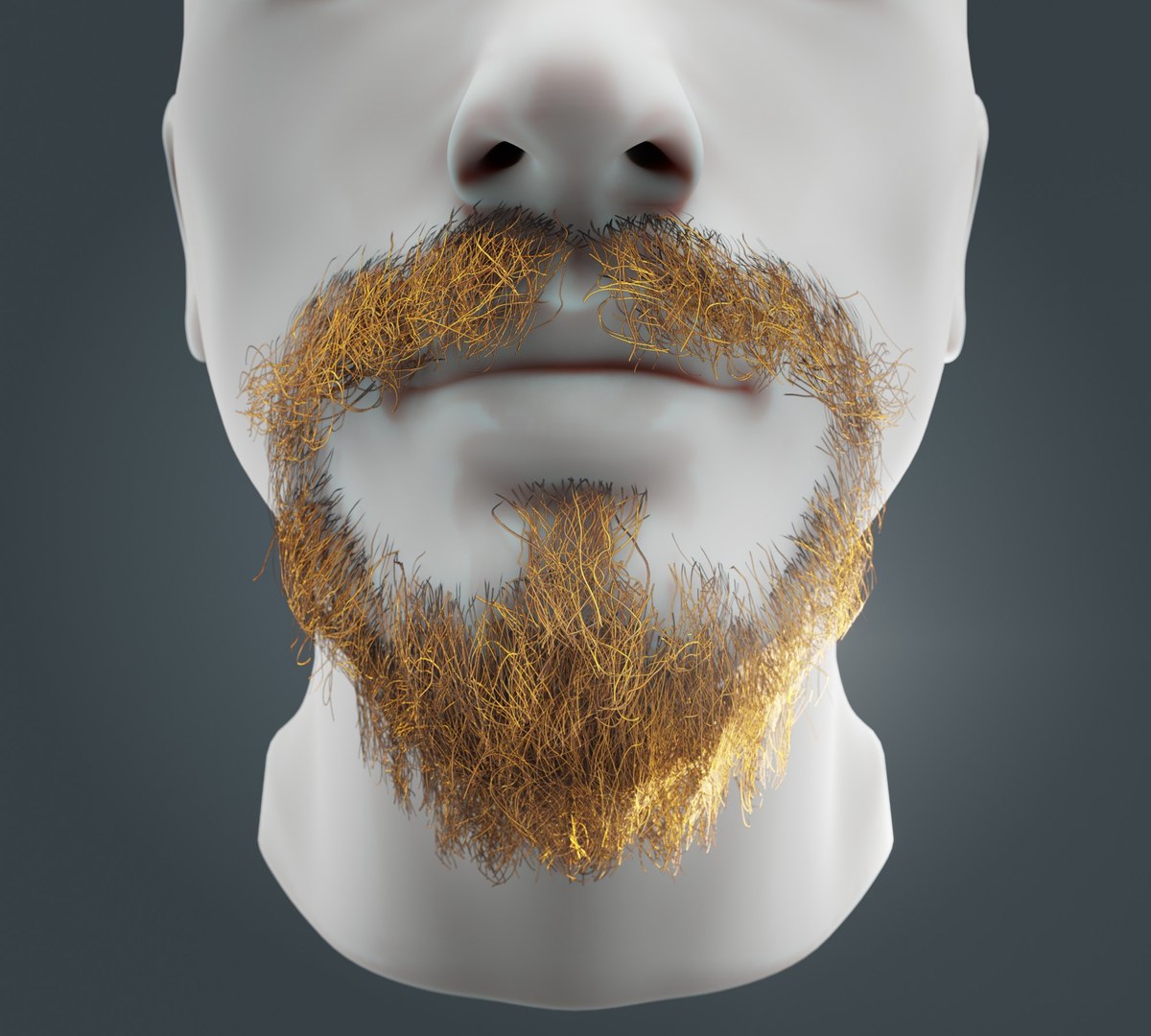 Beard RealTime 10 Version 2 3D Model - TurboSquid 1892359