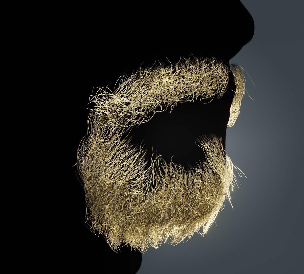 Beard RealTime 10 Version 2 3D Model - TurboSquid 1892359