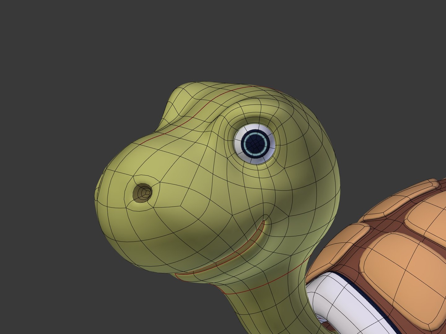 Cartoon Turtle 3D Model - TurboSquid 1960664