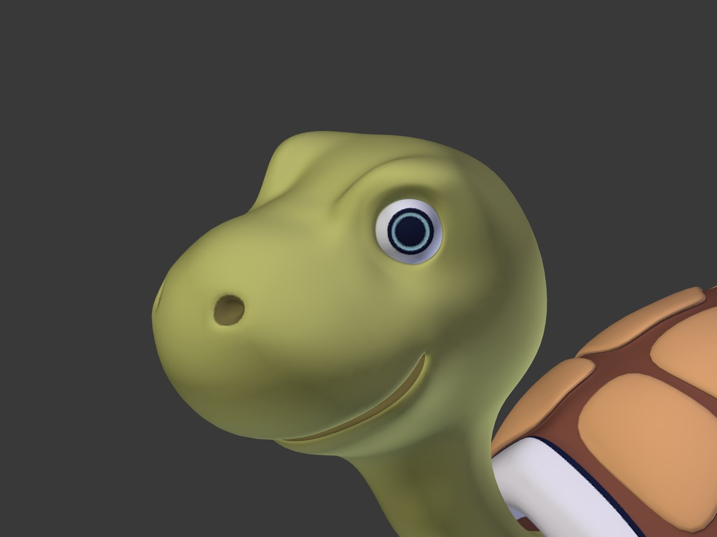 Cartoon Turtle 3D Model - TurboSquid 1960664
