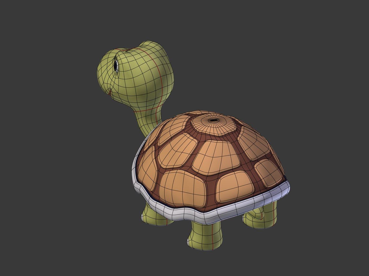 Cartoon Turtle 3D Model - TurboSquid 1960664