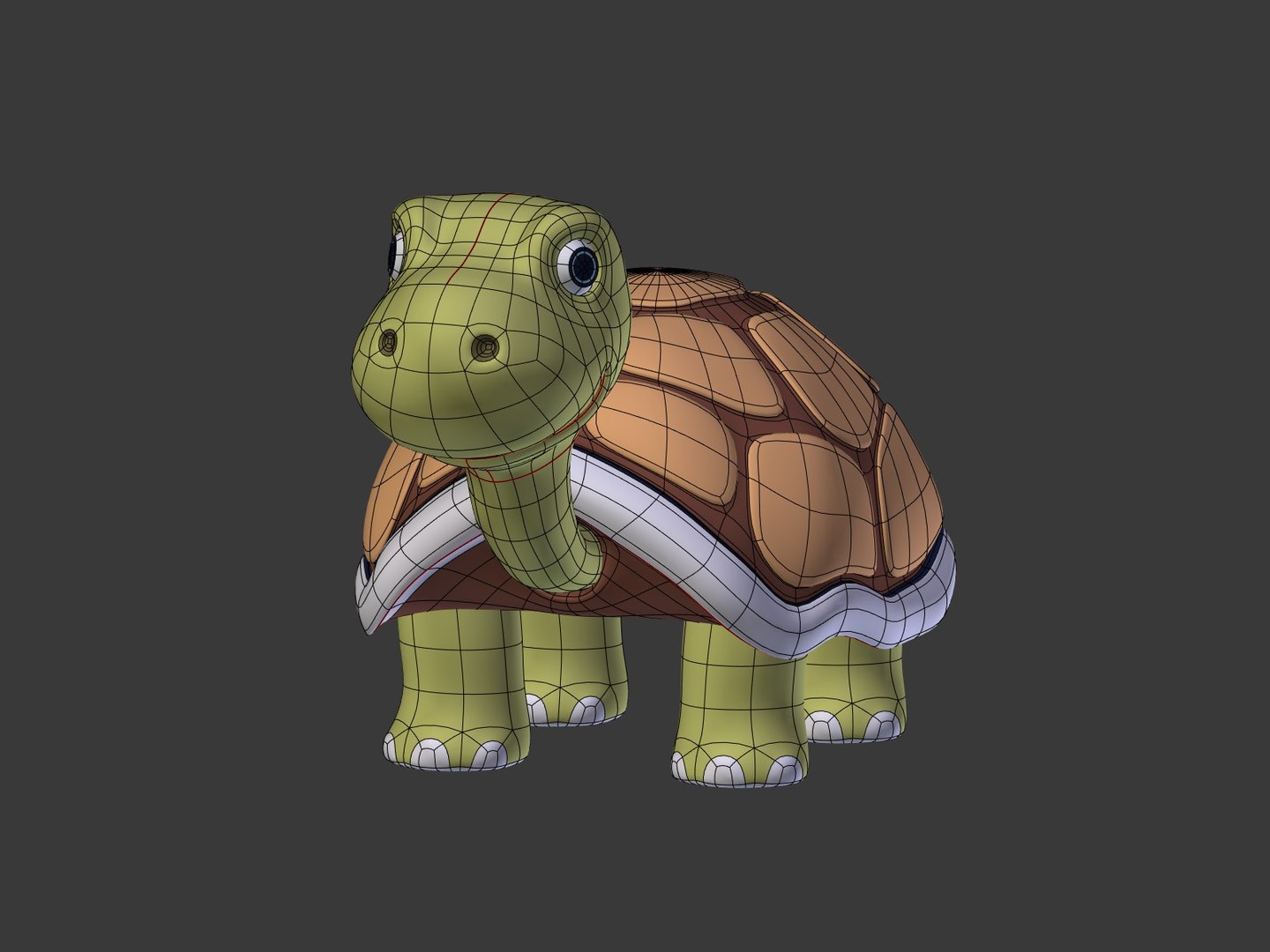 Cartoon Turtle 3D Model - TurboSquid 1960664