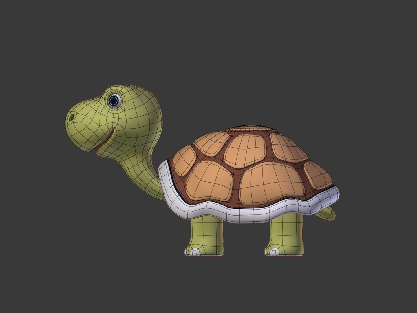 Cartoon Turtle 3D Model - TurboSquid 1960664