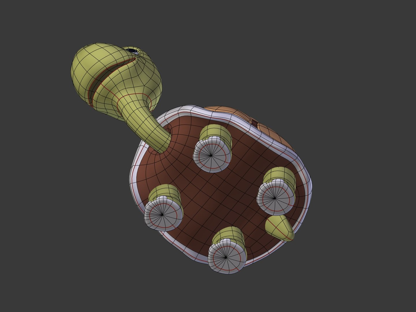 Cartoon Turtle 3D Model - TurboSquid 1960664