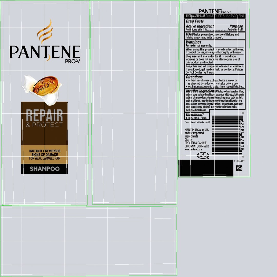 Pantene Shampoo 3D Model - TurboSquid 1363308