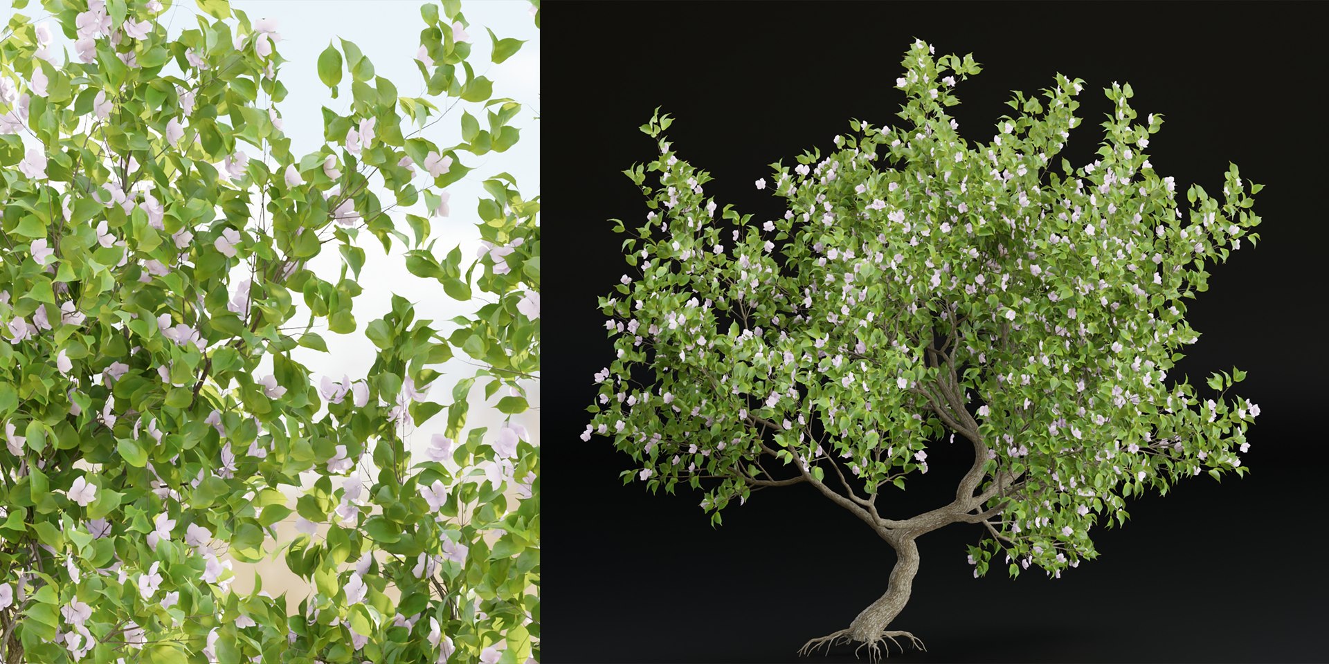 3D collection trees vol 13-Blender model - TurboSquid 2105761