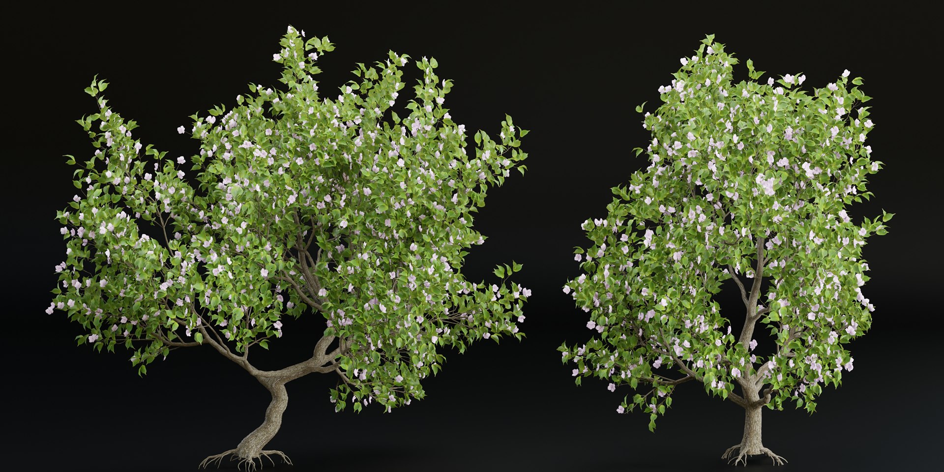 3D collection trees vol 13-Blender model - TurboSquid 2105761