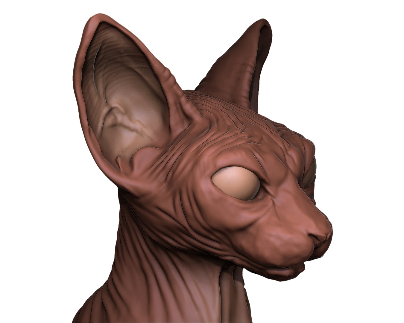3D Sphynx Cat 3D Print Model Full Body Model - TurboSquid 2162571