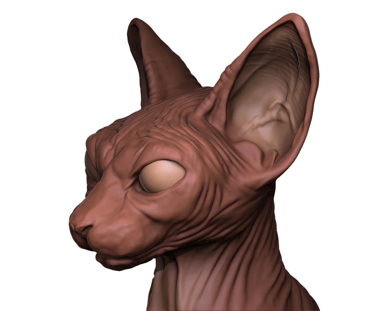3D Sphynx Cat 3D Print Model Full Body Model - TurboSquid 2162571