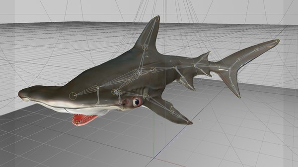 3D hammerhead shark rigged l589 model - TurboSquid 1513687