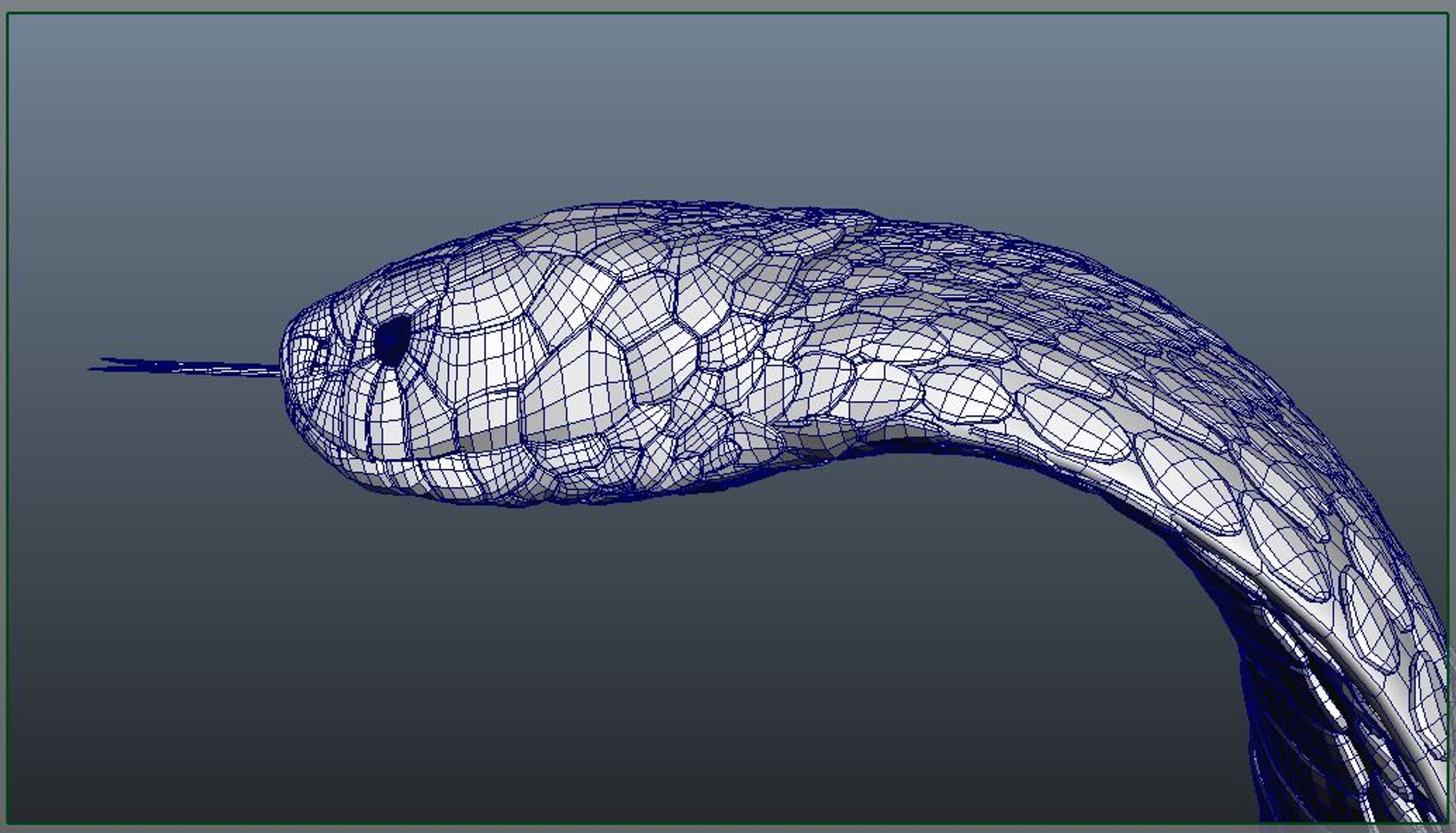 Snake 3D Model - TurboSquid 1318328