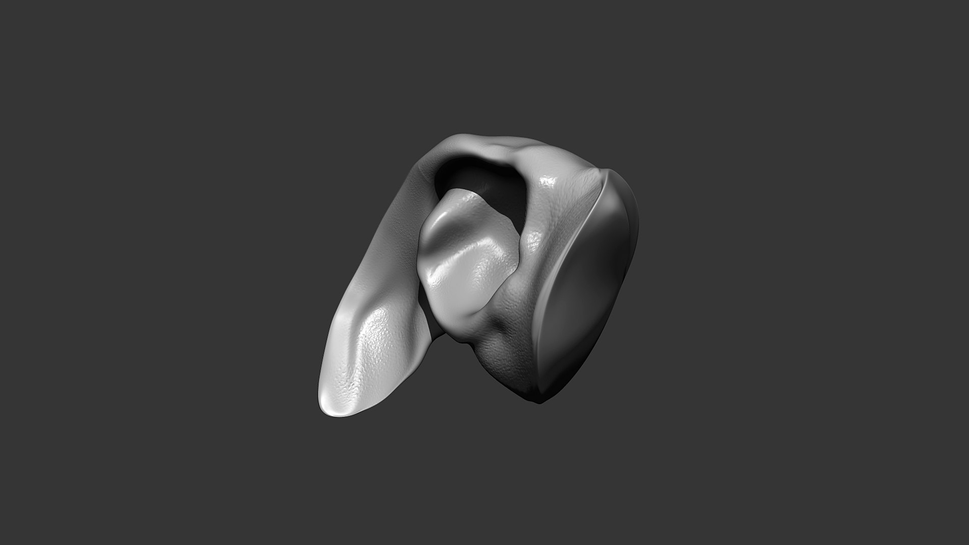 3D Dog Ear Highpoly Sculpt - TurboSquid 1807841