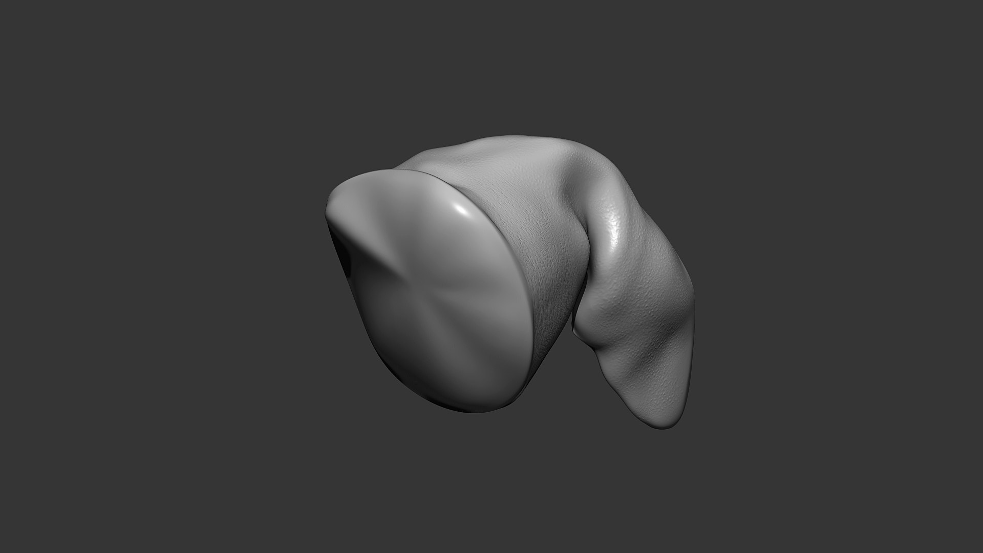 3D Dog Ear Highpoly Sculpt - TurboSquid 1807841