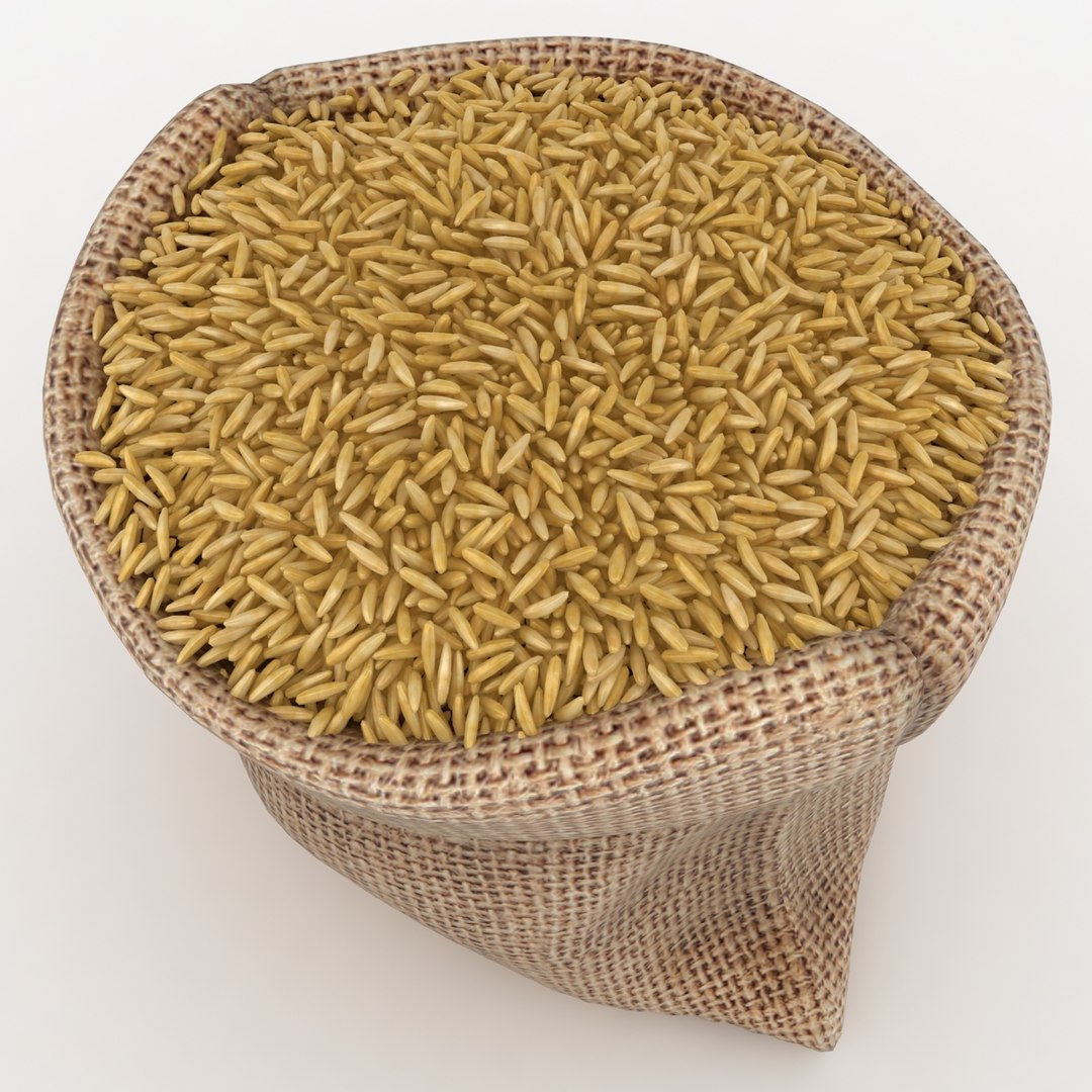 3D model realistic sack brown rice - TurboSquid 1202777